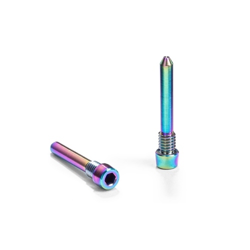 FEsportsNZ | Titanium Disc Pads Retaining Bolts for Shimano Road - GRY